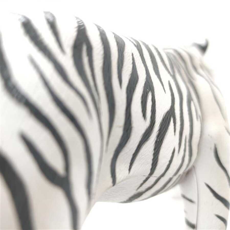 4D Master Vision Oyuncak Beyaz Kaplan Anatomi Modeli Animal Inside Out ...